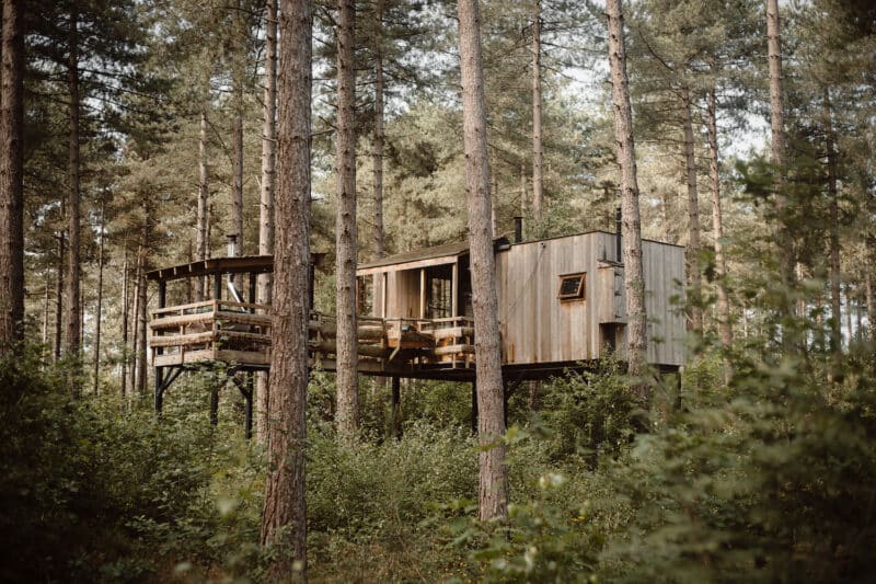 Treehouse Stay in Belgium: Our Warredal Forest Escape
