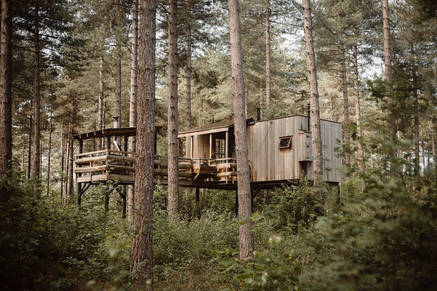 Warredal: Discover a Treehouse Resort Experience in Belgium