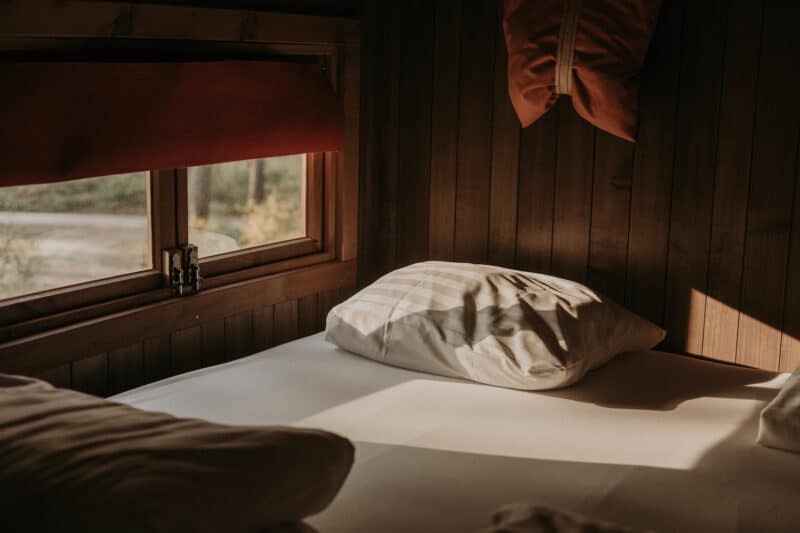 Warredal: Discover a Treehouse Resort Experience in Belgium